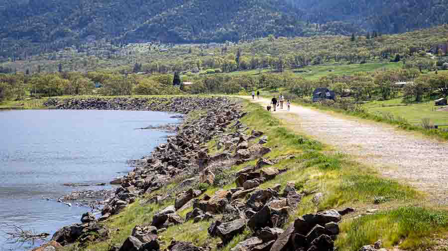 Toxic algal bloom could pose risks in irrigation water for livestock ...